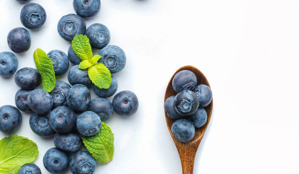 Cosecha moras azules y disfruta sus beneficios - cecyvaldezdailystyle ...